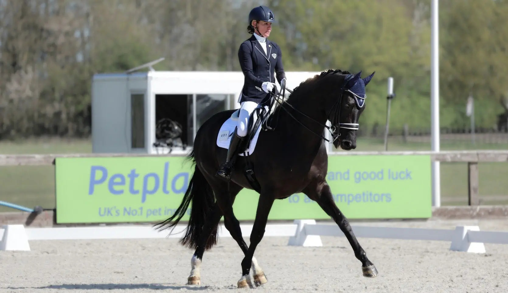 Lateral Work for Horses Explained: Leg Yield, Shoulder-In, Travers and ...