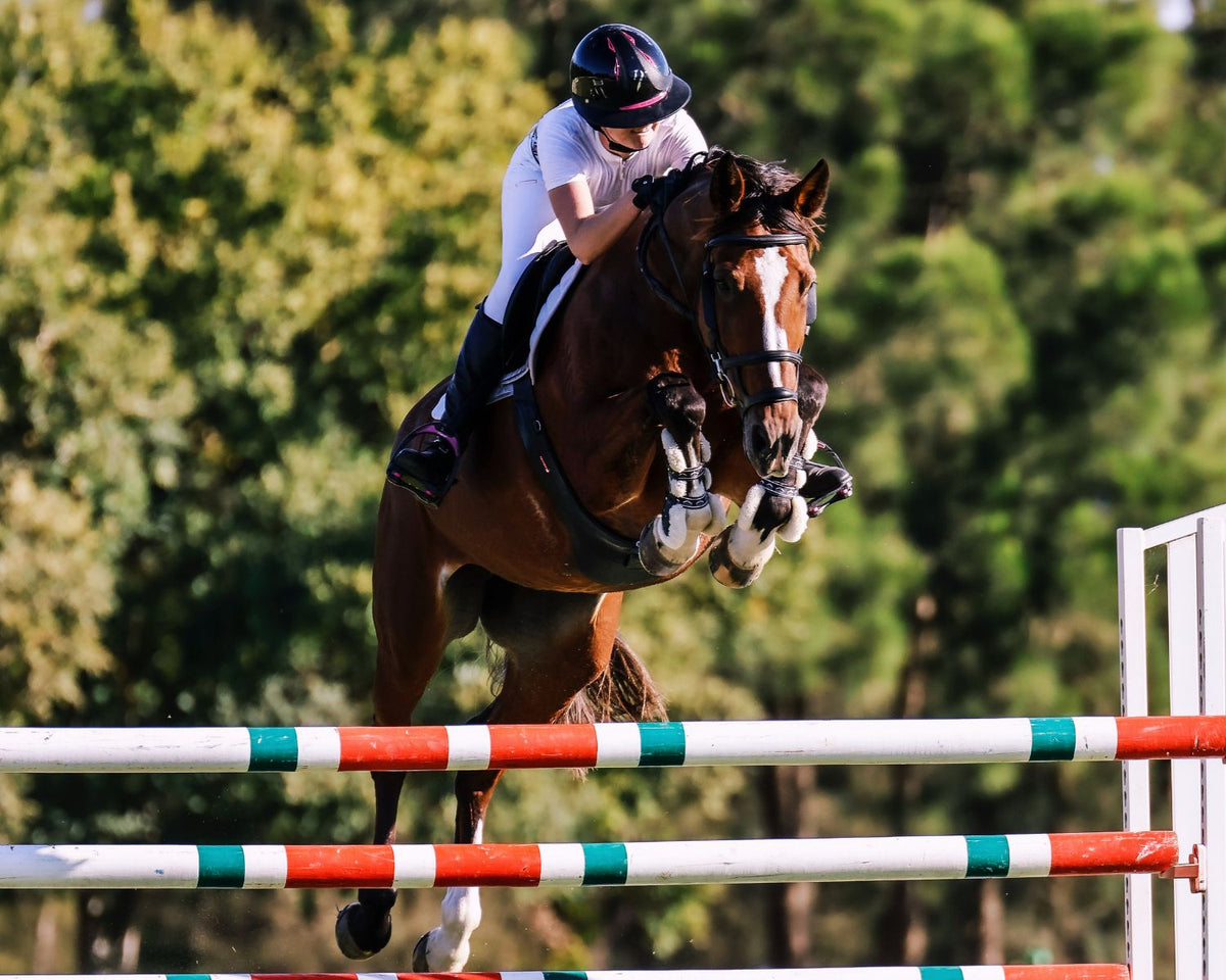 Mackenzie Patterson Hollibone – BARE Equestrian
