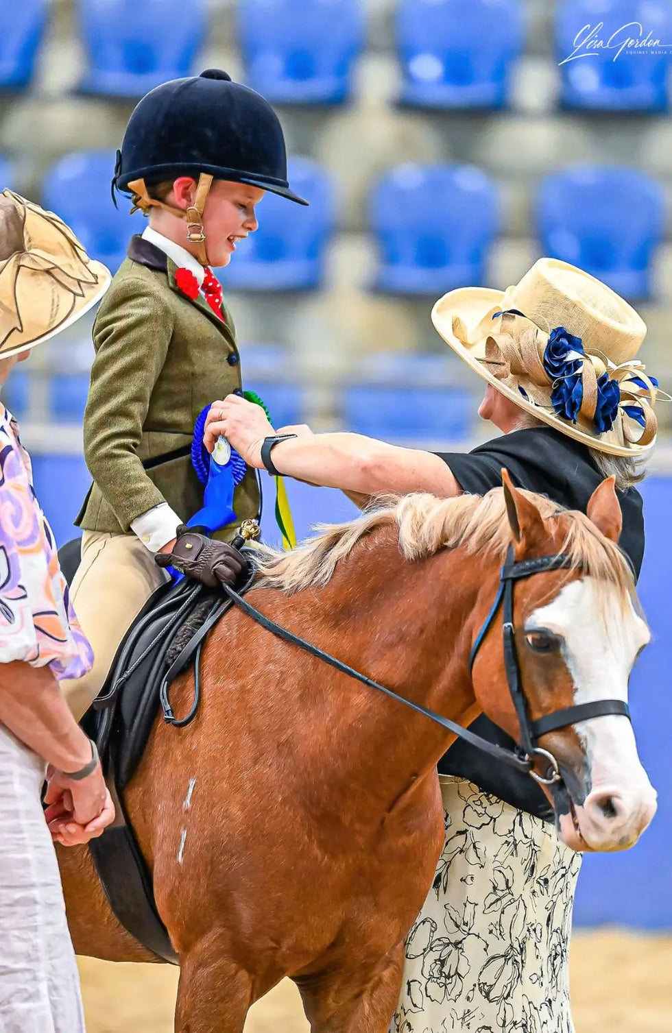 Youth 2-Tone Competition Tights - Hunter/Havana Brown – BARE Equestrian