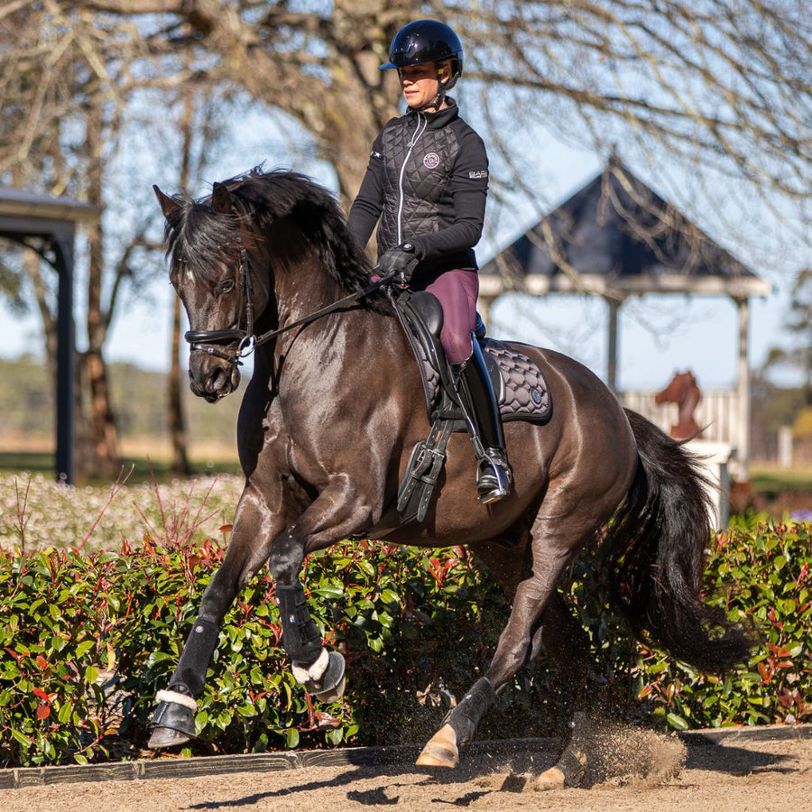 BARE Equestrian | Pioneers in Equestrian Apparel